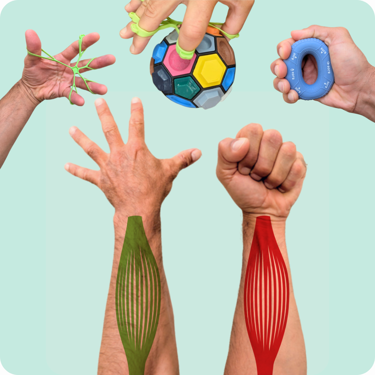 BOULDERBALL - Discover the smallest bouldering hall in the world